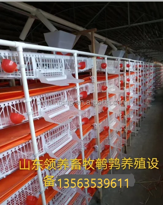 PVC Quail Cages - Automatic & Manual Options for Farms