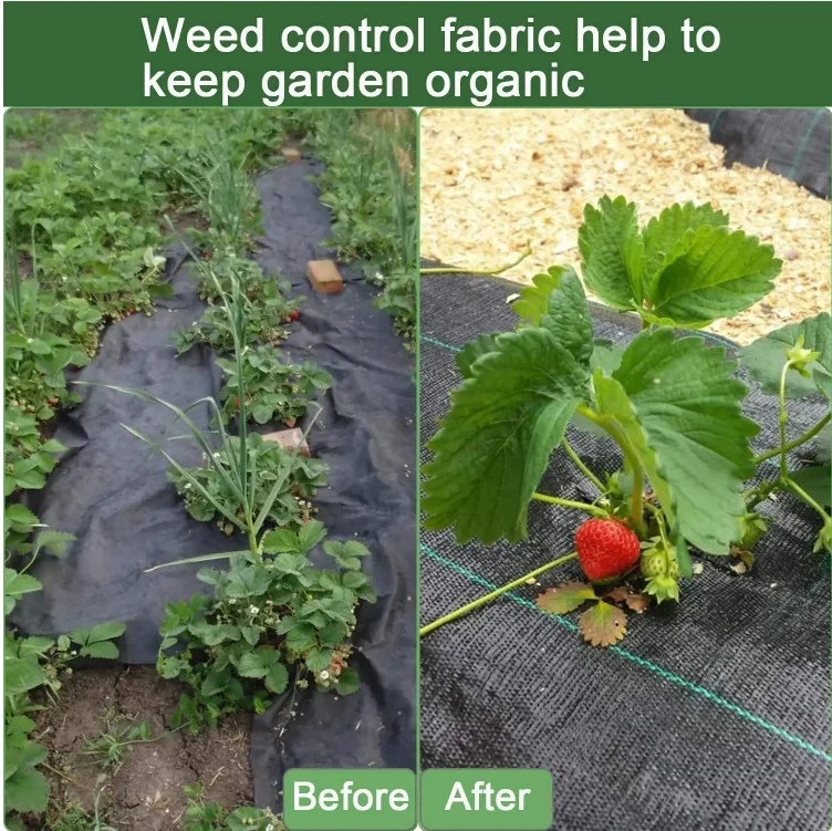 Black Ground Cover Garden Weed Barrier Landscape Fabric White Ground ...