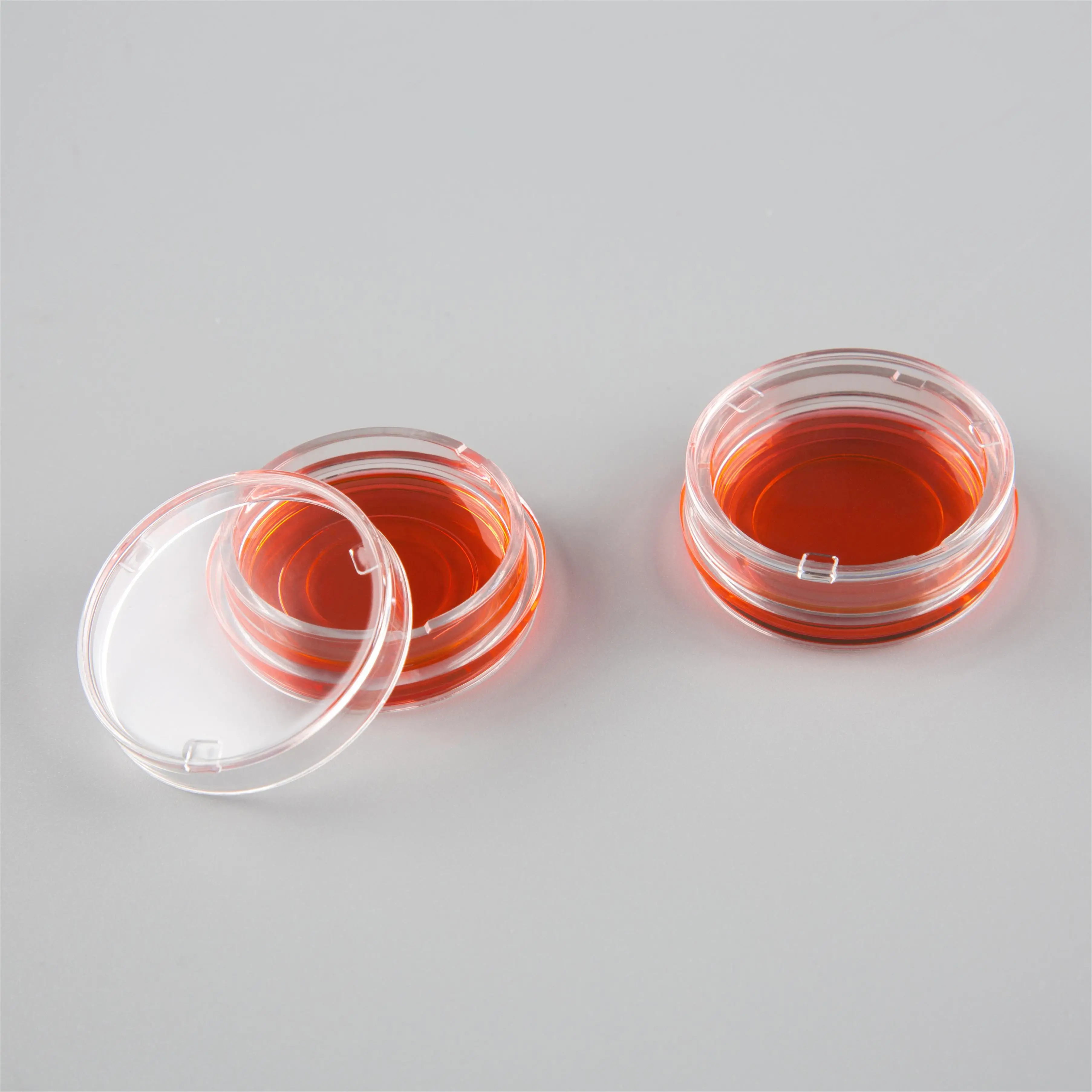 AMNGENT Confocal Labware Glassware Petri Dishes Laboratory Cell Culture ...