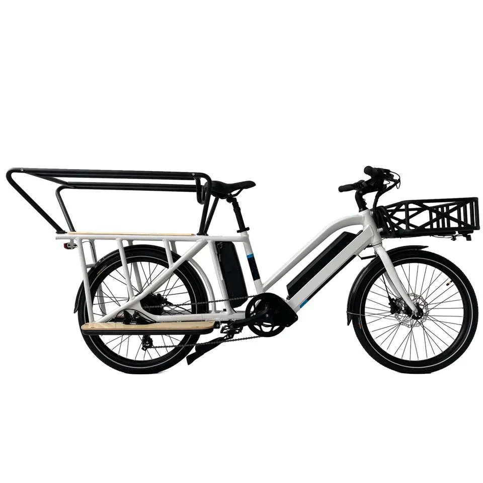 Family Food Cargo Delivery E Bicycle - Efficient & Reliable