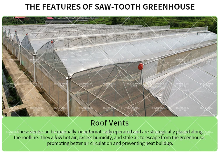 Sawtooth Greenhouse - Efficient Plant House Arch Pipes