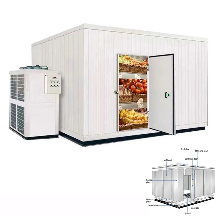Walk In Freezer Large Cold Storage Room Vegetables Fruits Meat Cold ...