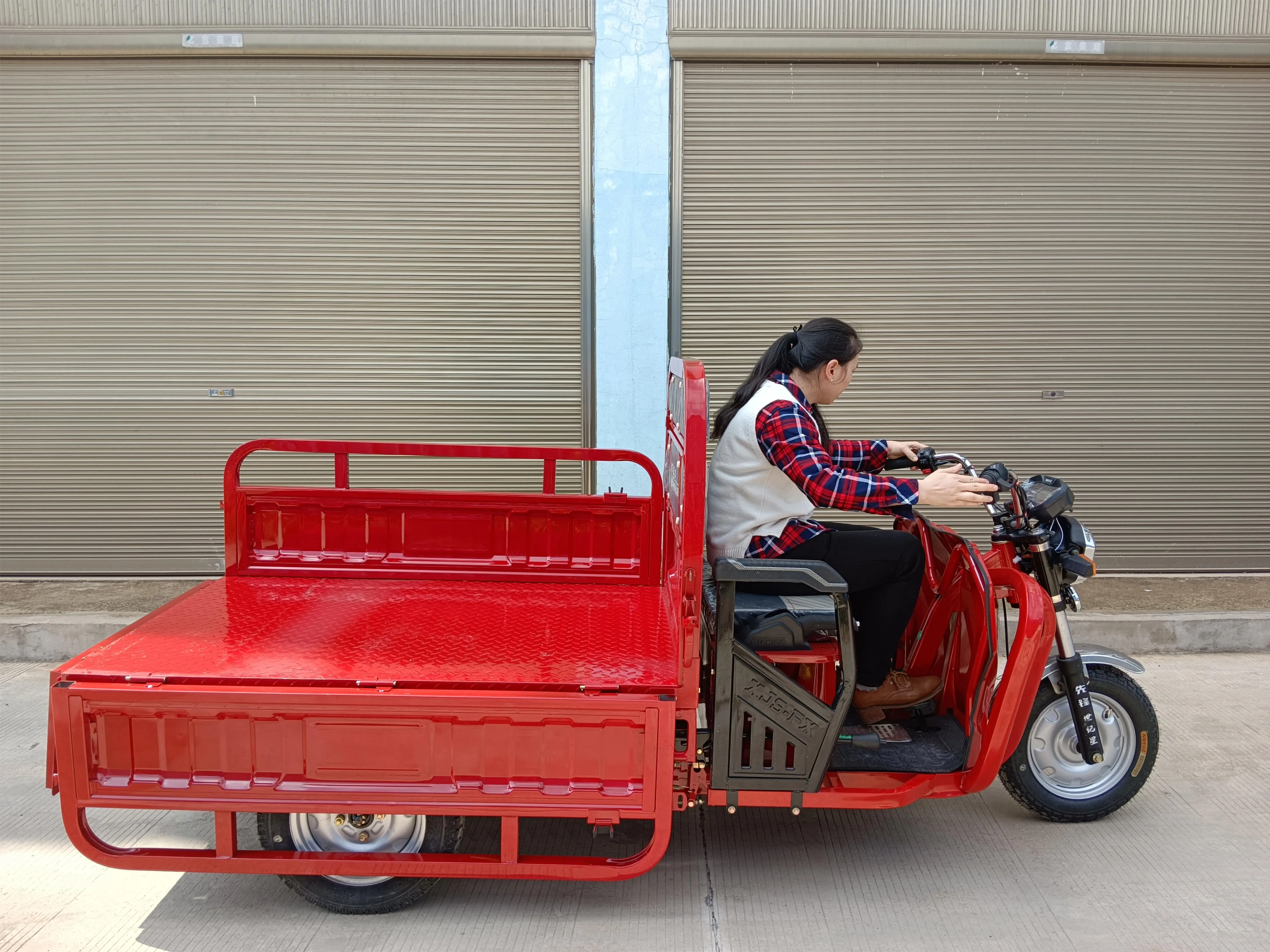 Electric Rickshaw Factory Customization with Big Power and Max Loading ...