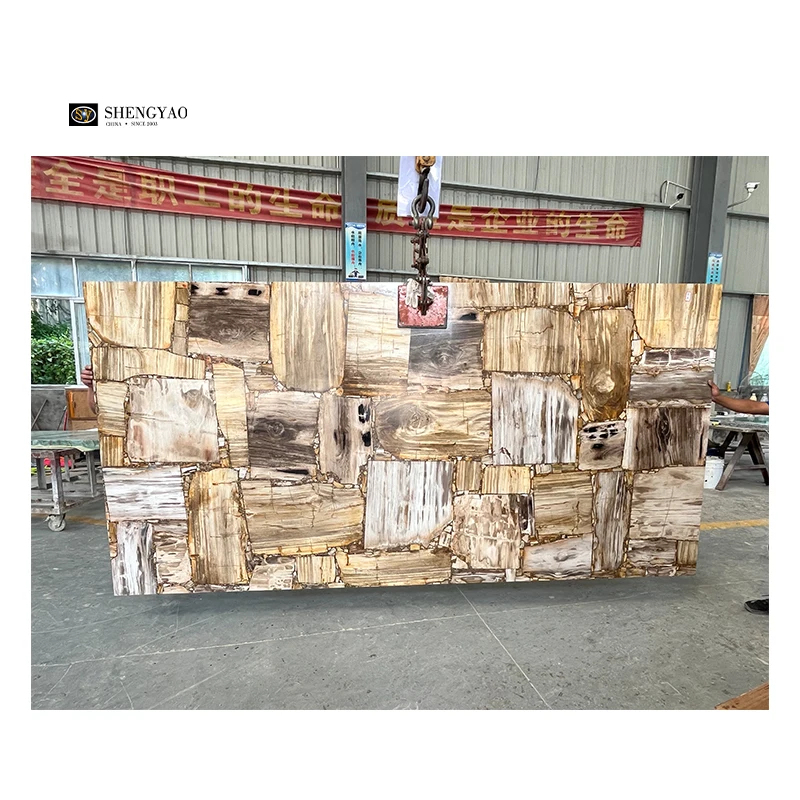 Petrified Wood Stone Slab - Durable & Stylish Interior Decor