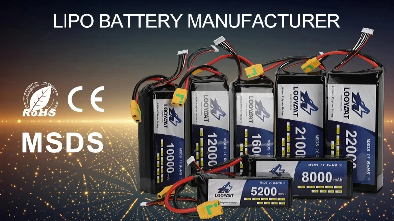 China Oem Design Li-polymer Battery 6s2p 22.2v 10c 12000mah 22000mah ...