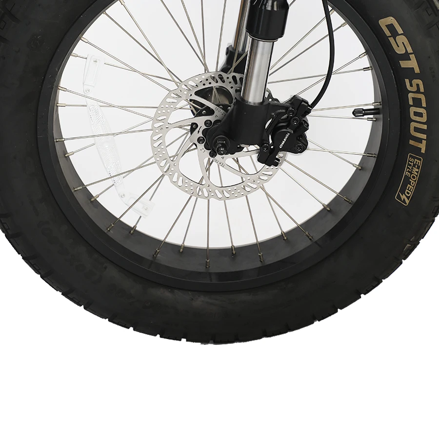 Factory Supply Powerful Battery 48v Electric Dirt Bike Ebike Dual Motor ...