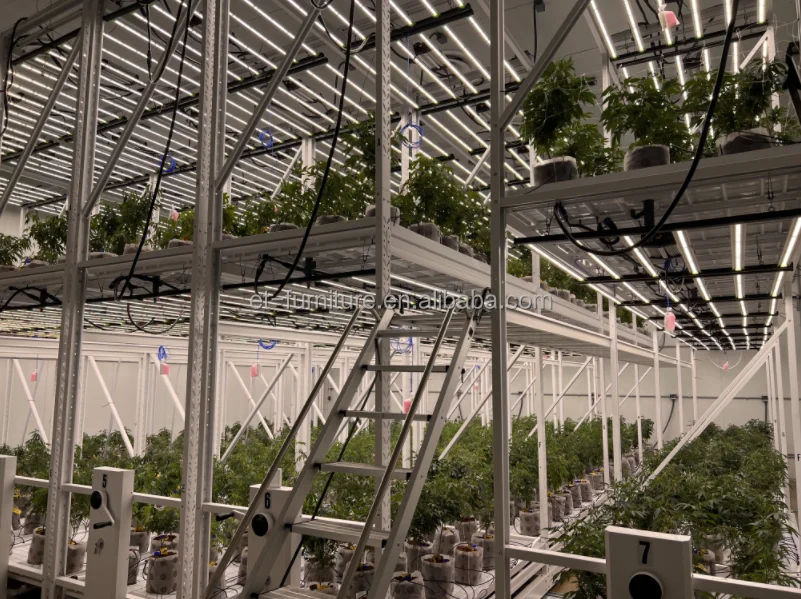 Hydroponics Farm Vertical Grow Rack System Vertical Grow Racks - Buy ...