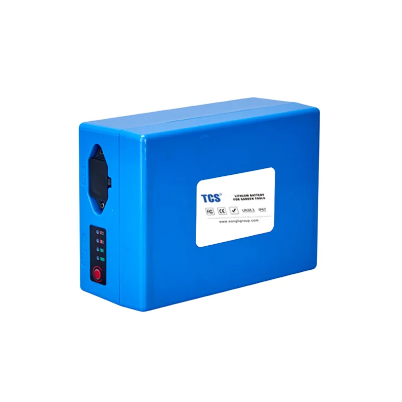 24v10ah Lithium Li Ion Rechargeable 24v 10ah Lifepo4 Li-ion Battery ...