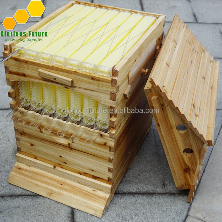 Complete Auto Flowing Honey Bee Hive With 7pcs Automatic Self Flows ...