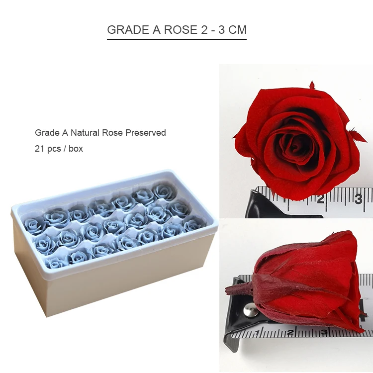 Wholesale Eternal Preserved Roses - Perfect for Any Occasion