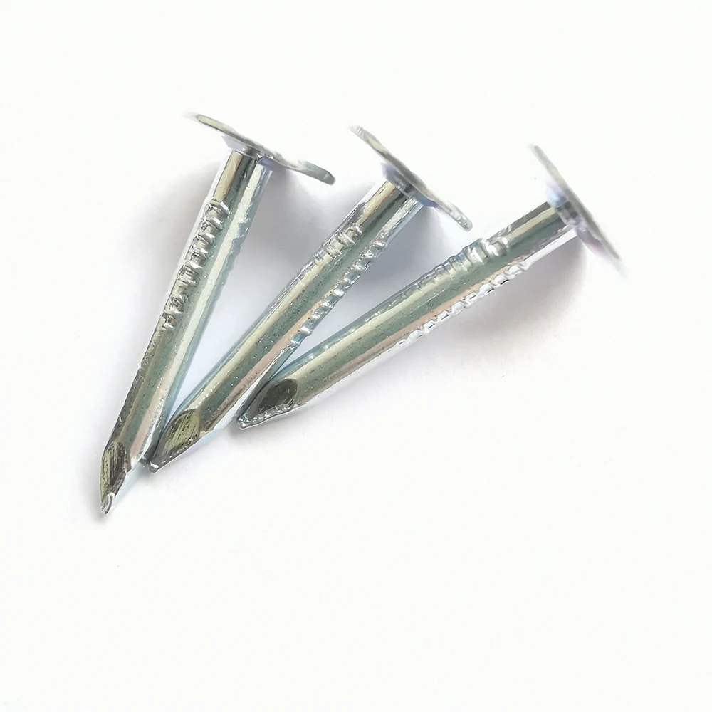 Flat Head Clout Nails For Asphalt Felt - Buy Clout Nails,Flat Head ...