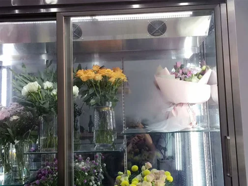 Morden Style Shop Refrigeration Equipment Refrigerated Showcase Display ...