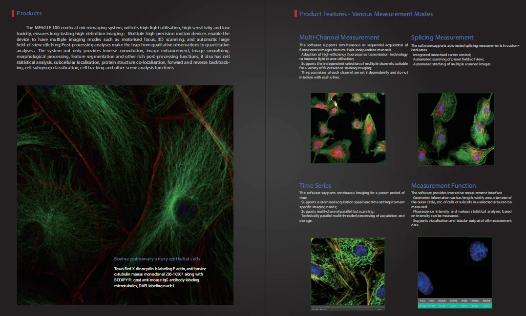 Auto Motorized Laser Confocal Scanning Microscope for Immunology Research