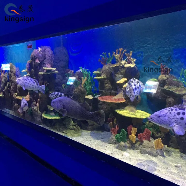 200 Gallon Aquariums - Customized Acrylic Fish Tanks