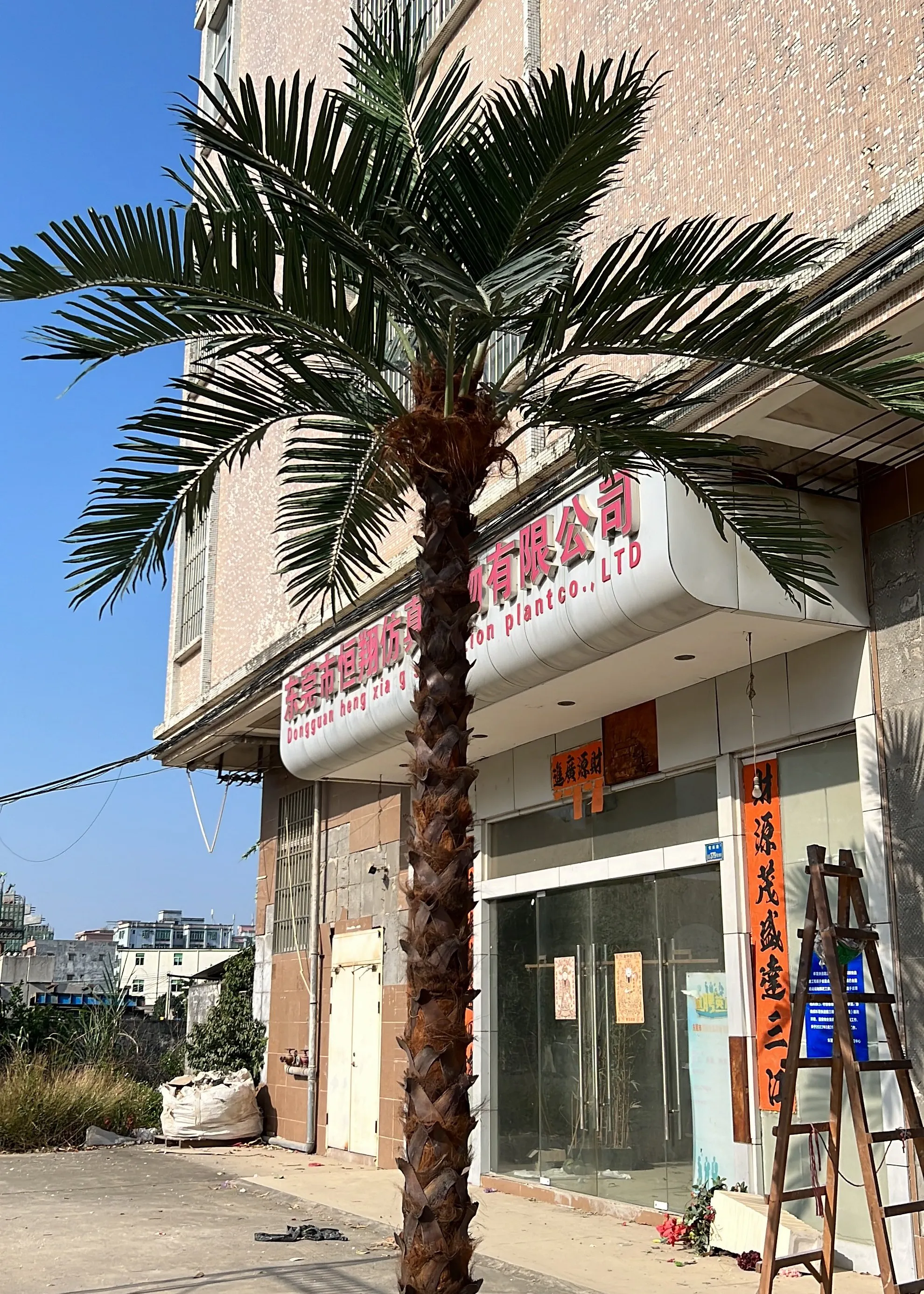 Factory Fiberglass Artificial Fan Palm Tree Simulation Fan Palm Tree ...