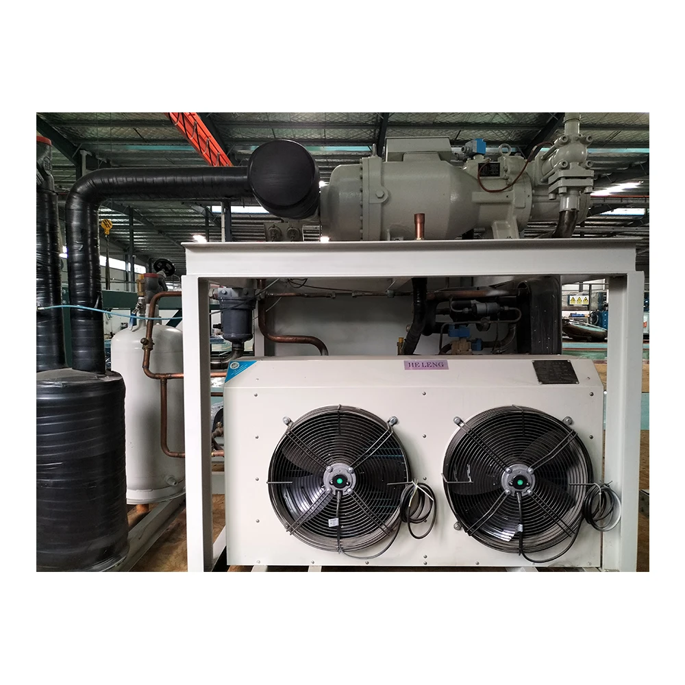 Low Temp 3 Phase Compressor Air Cooled Compressor Condensing Unit for ...