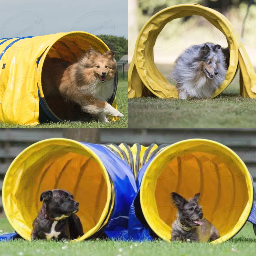 Reinforced PVC Dog Agility Play Tunnel Tube Professional 600mm Heavy ...