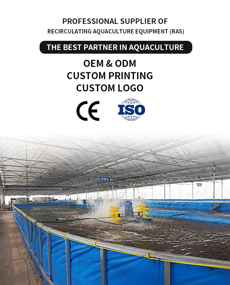 Shrimp Breeding RAS Equipment - Efficient Shrimp Farming