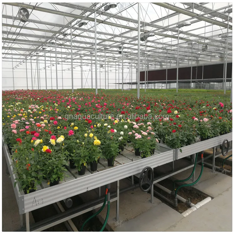 Garden Hydroponic Hydroponic Rolling Bench System Flood Benches Ebb And ...