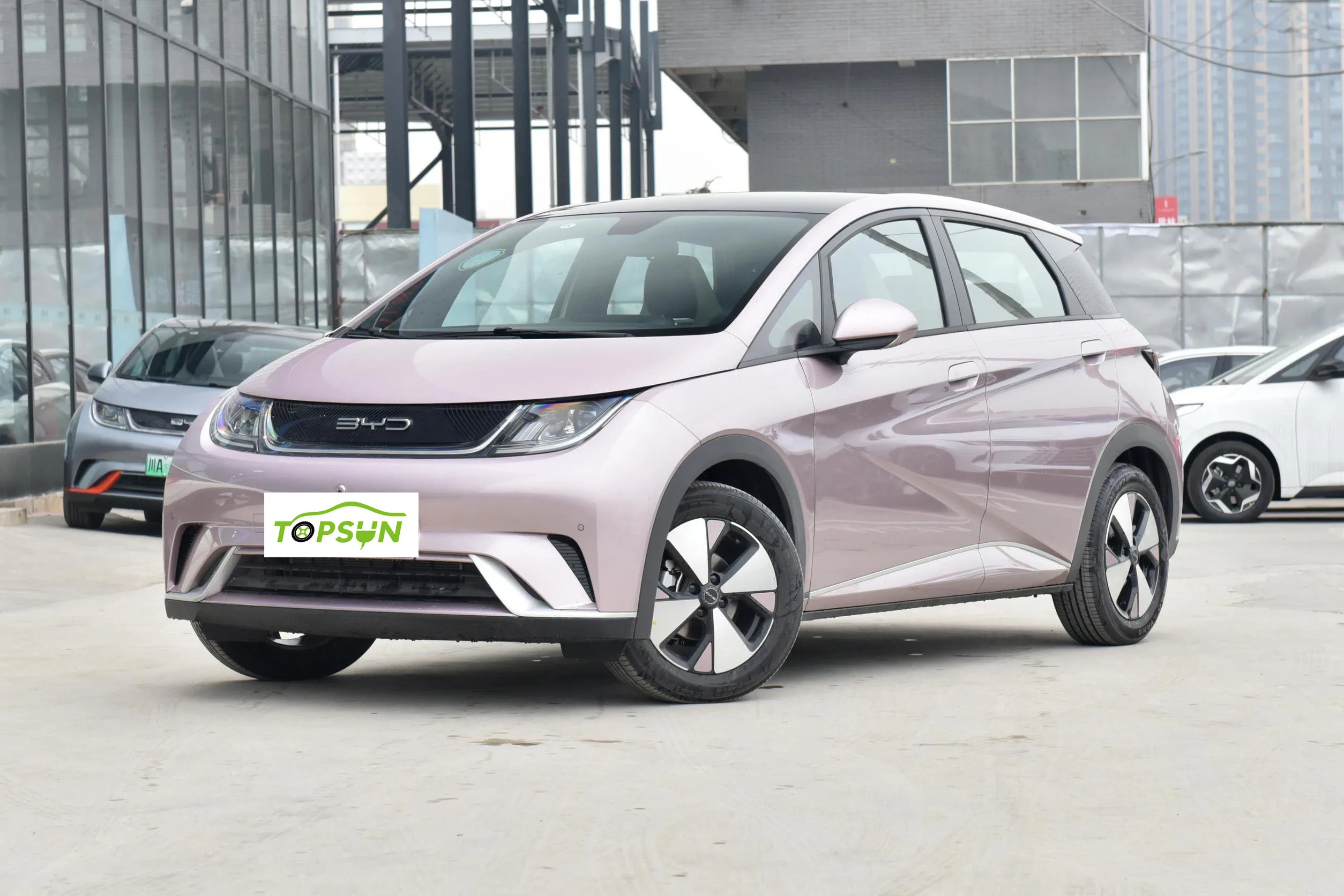 Byd Dolphin Five-door Five-seater Hatchback Electric Car High Speed ...