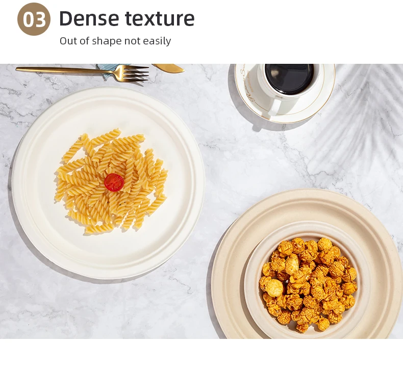 Bagasse Paper 10 Inches Microwavable Biodegradable Round Compostable ...