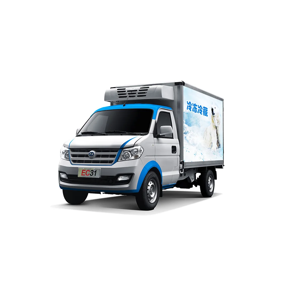 Dongfeng Ruichi EC31 Electric Truck - Cheap Price & EEC Cert