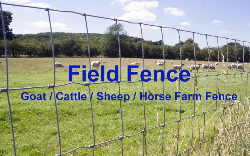 Heavy Duty Fixed Knot Woven Wire Field Game Fence Galvanized Sheep /cattle/goat/deer Farm Fence ...