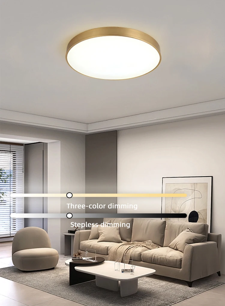 Modern Acrylic Gold Ceiling Light Nordic Ceiling Lighting Chandelier ...