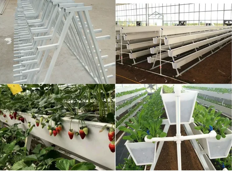 Gutter Growing System for Greenhouse Hydroponic Strawberries