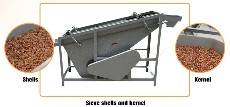 Hazelnut Shelling Machine Sorting Palm Kernel Crushing Processing Line ...