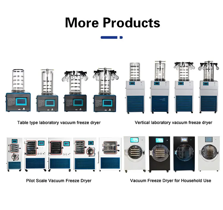 Hospital Lab Cryogenic Vacuum Freeze Dryer Dehydrator Laboratory ...