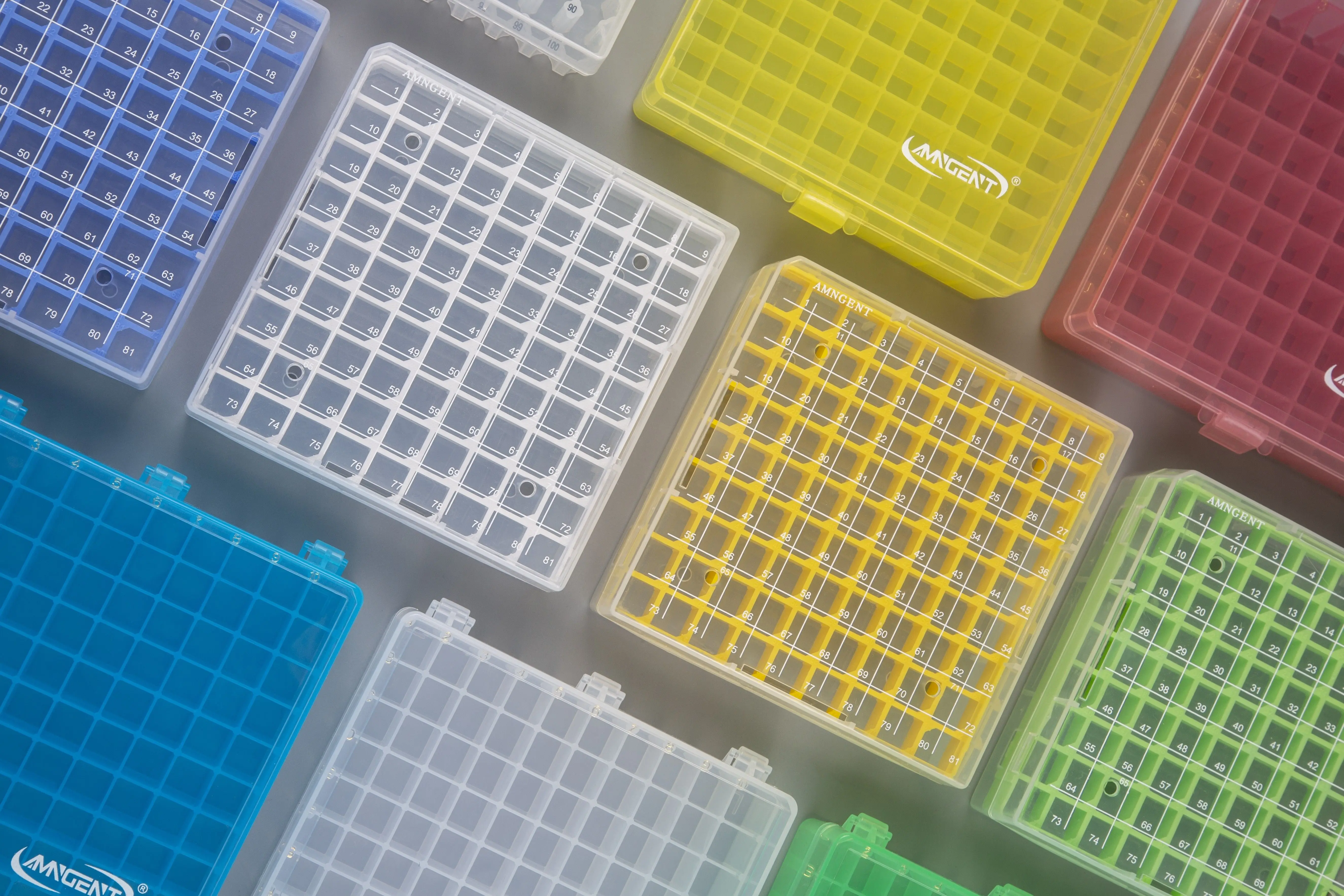 AMNGENT Polypropylene Lab Tube 100 Well 81 Well Cryo Boxes for Biobank