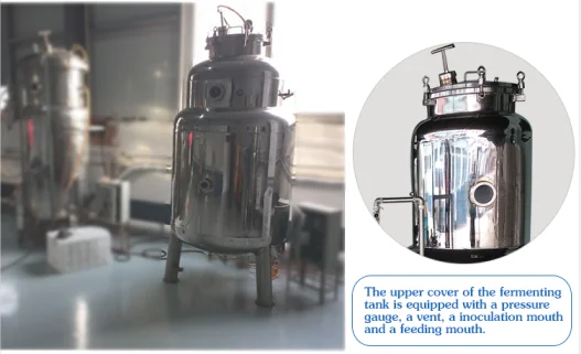 100L Mushroom Growing Fermenting Equipment - High Productivity