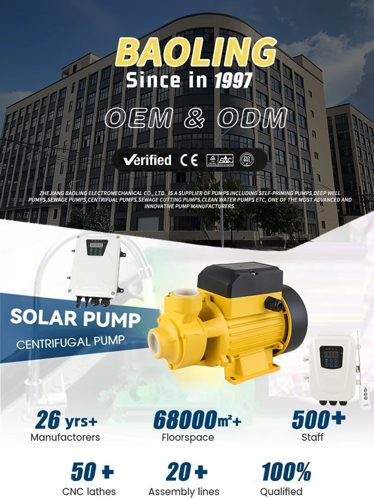 Qb60 Dc Above Ground Swimming Pool Magnet Diaphragm Pump Manual Cnp Sea ...