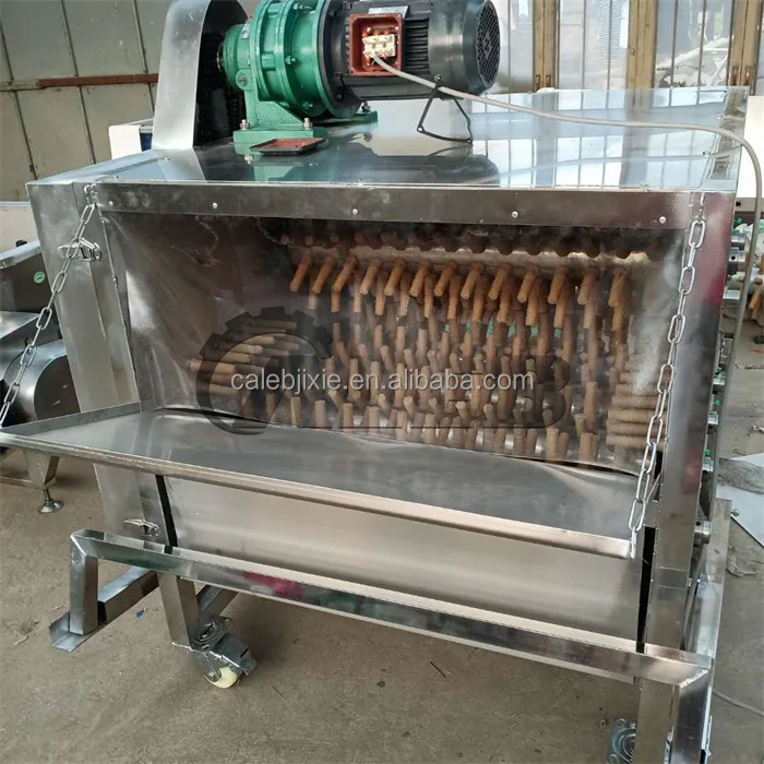 Automatic Slaughtering Equipment Pig Dehair Machine Hog Cleaning ...