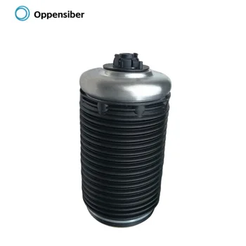 Audi A6 C7 Rear Air Spring Rear Air Suspension Spring Left Or Right ...