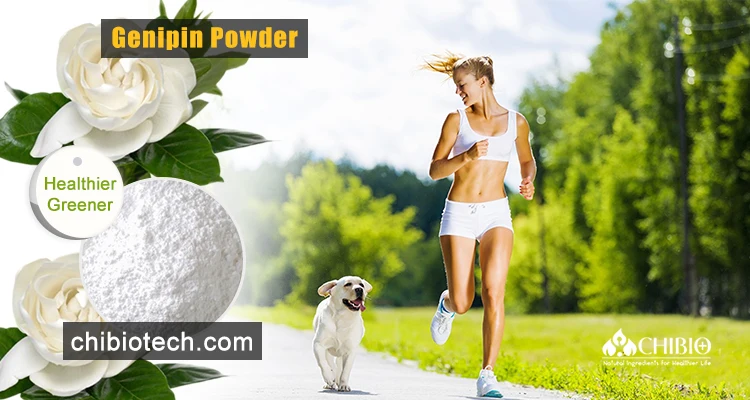 Factory Supply High Purity 98% Genipin Powder For Cross Link - Buy High ...