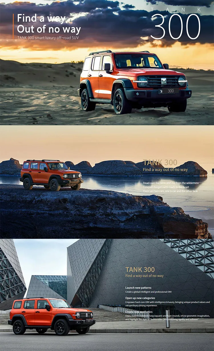 Gwm Tank 300 Suv Chinese 2.0t Wey Tank 300 Urban Cross New Hydraulic Steering Awd Gas/petrol ...