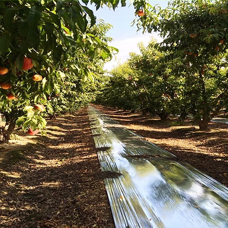 Low Cost Agricultural Plastic PE Metalized Mulch Film for Orchard Fruit ...