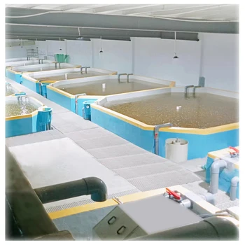 Intensive Recirculating Aquaculture Systems And Ras System Equipment ...
