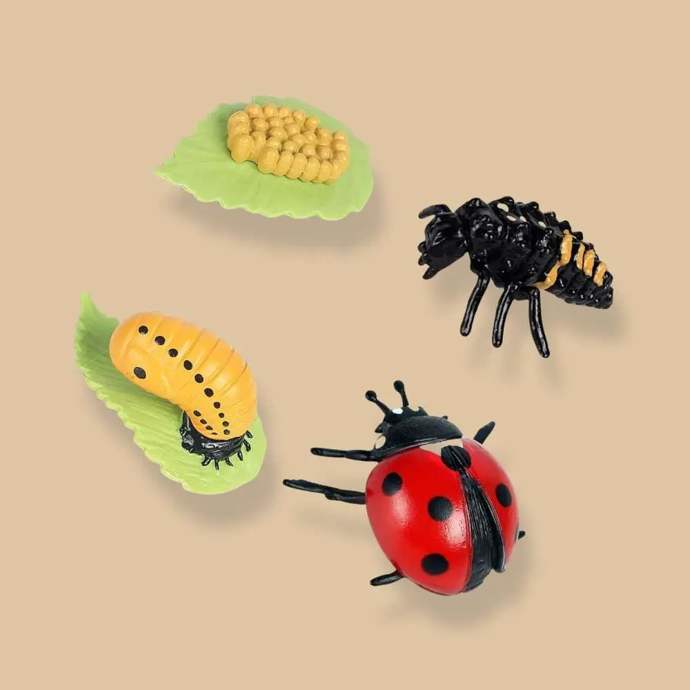 Seven-star Ladybug Growth Cycle Soft PVC Toys Suitable For Children's ...
