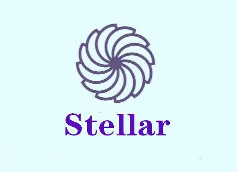 Company Overview - Zhengzhou Steller Exports Co., Ltd.