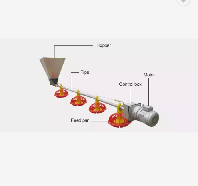 Feeders Chicken Feeders And Drinkers Chicken Feeder - Buy Automatic ...