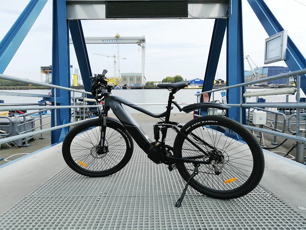 Varstrom Electric Mountain Bike Cola Bear 2.0 - 750W Power