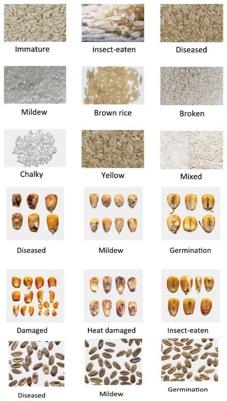 High Efficiency Grain Grading Equipment With Sensors And Analyzers ...