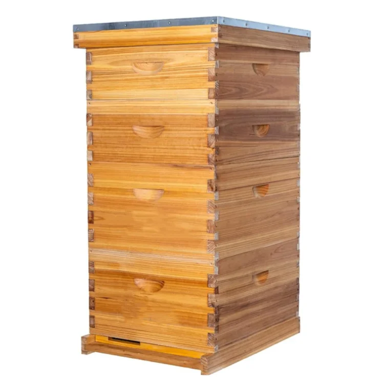 4 Layer Complete Langstroth Beehive Box 10 Frame Beeswax Coated Wooden ...