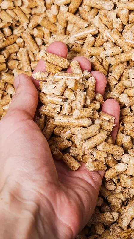 Biomass Fuels Green Wood Pellet For Sale Portugal Pellets Spagna Di ...