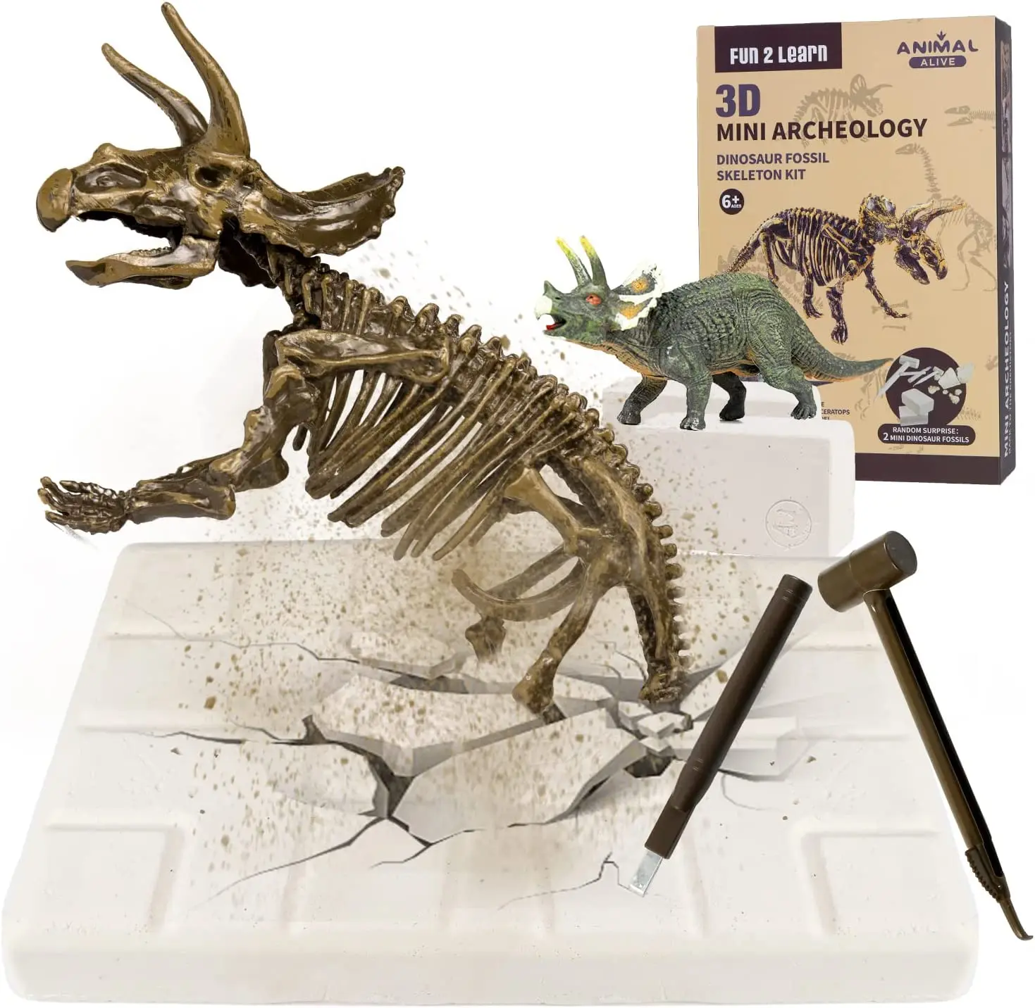 Paleontology Science Archaeological Dinosaur Fossils Toy Dinosaur ...