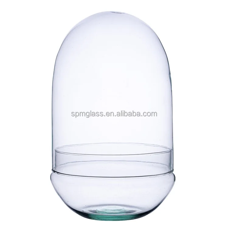 Egg Shaped Glass Terrarium - Perfect for Miniature Plants