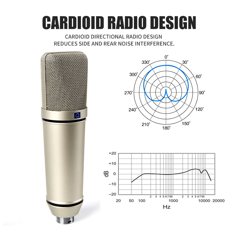 RAYHAYES Condenser Microphone - Professional Live Recording